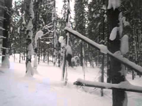 ПАХУЧАЯ ПРИМАНКА ДЛЯ КУНИЦЫ - YouTube