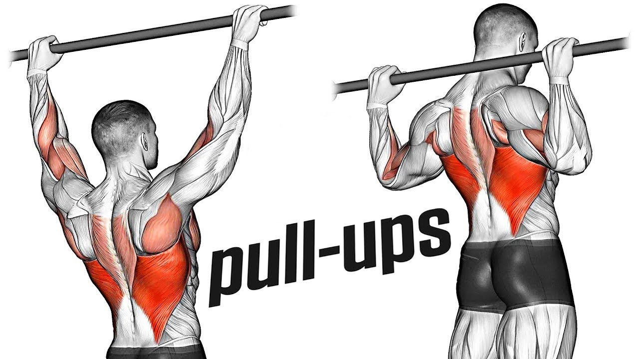 10 types of pull-ups (beginner to advanced) - YouTube