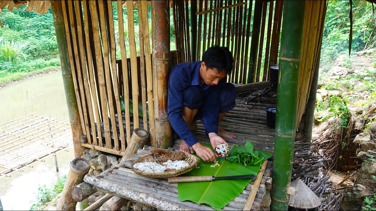 Survival Skills In The Rainforest, Bushcraft Survival, Primitive skills ...