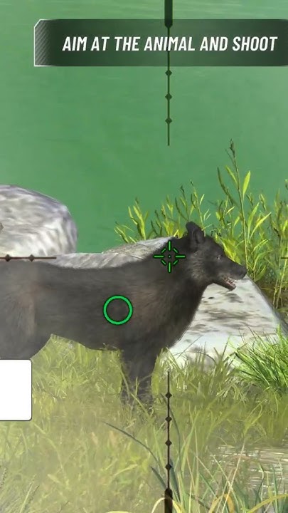Shooting animals game | catching Islands Wolf - YouTube