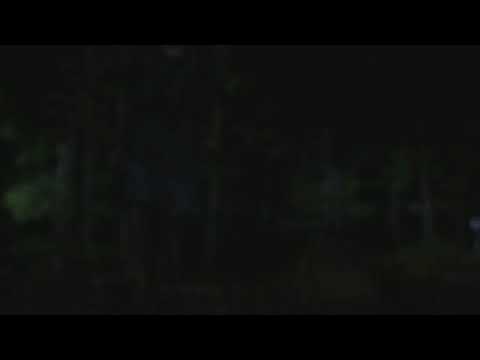 Elif dizisi Isabella damla guvenilir