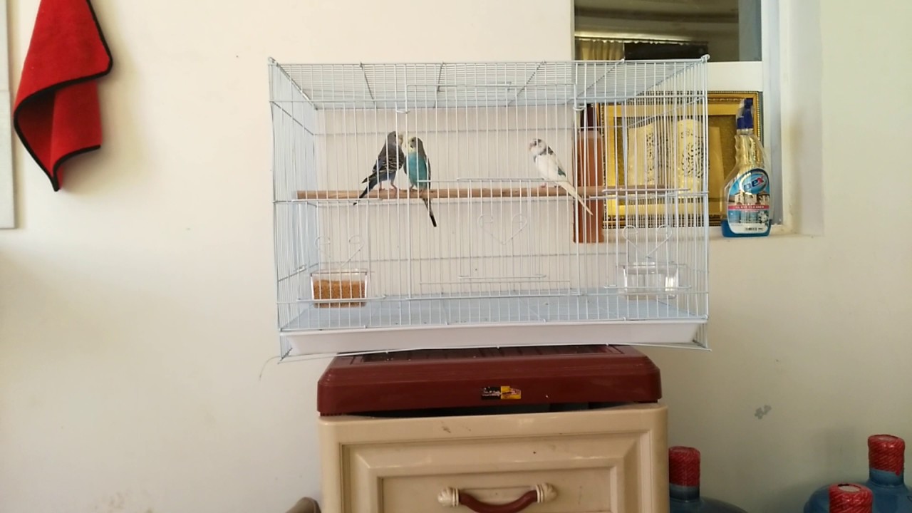 ١ يونيو، ٢٠١٧ - YouTube