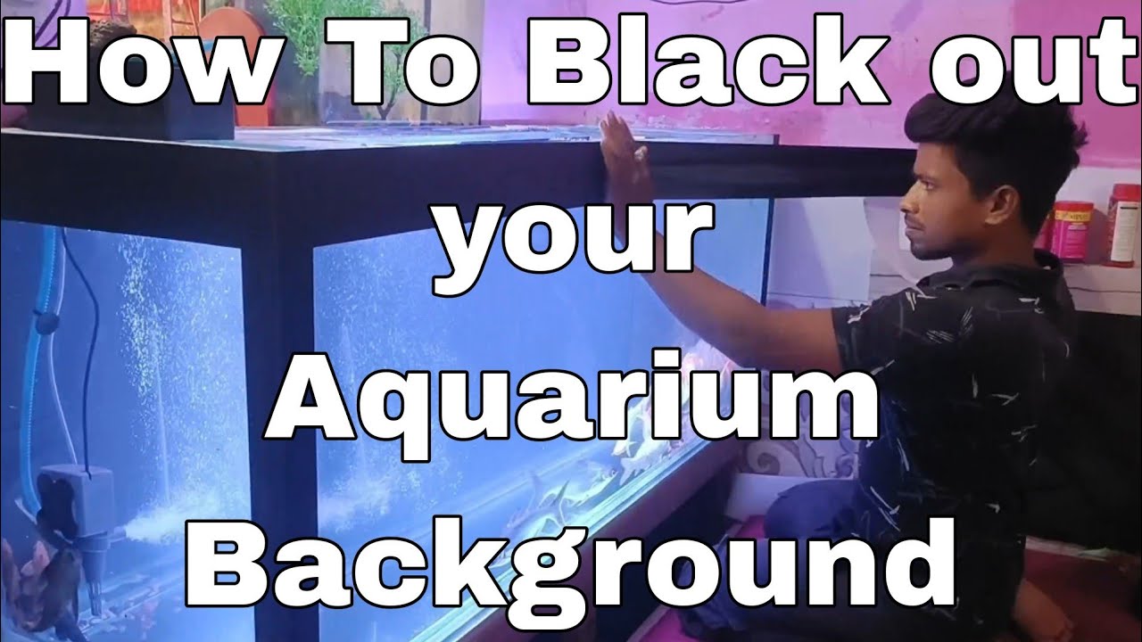 How To Black out yourAquarium Background - YouTube