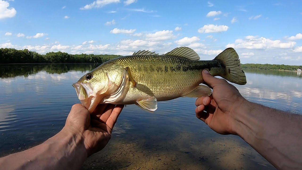 Bank Fishing Bluegill Beds In Michigan - YouTube