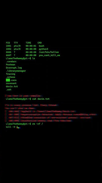 My only friend, Davis! #shell #horror #programming #lost #ghost #python ...