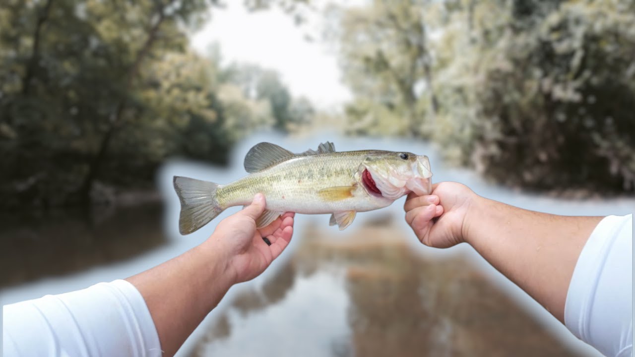Tar River Fishing!!! - YouTube