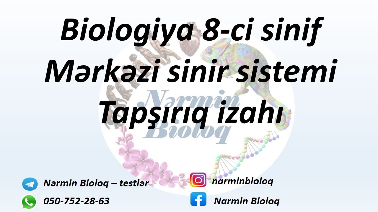 Biologiya 8-ci sinif Mərkəzi sinir sistemi tapşırıq izahı - YouTube