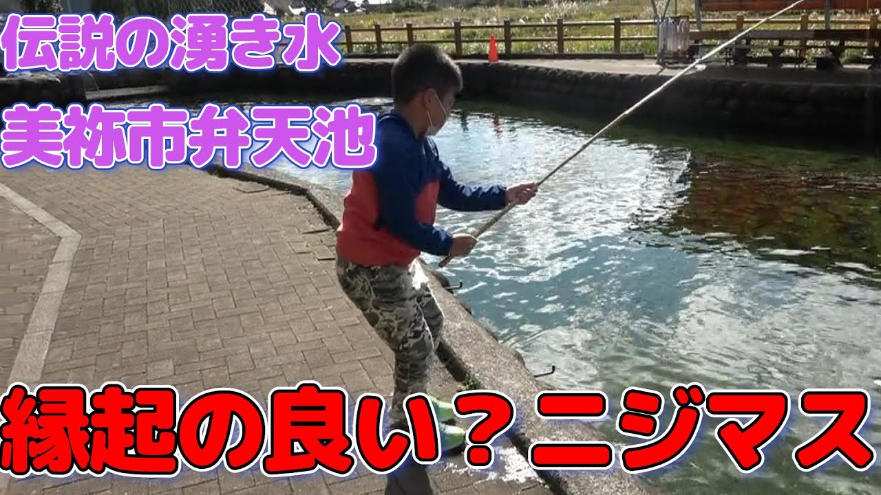 伝説の湧き水で育つ美祢市弁天池のニジマスをカイセイ初の釣り堀で大物をゲットすることが出来るか？ - YouTube