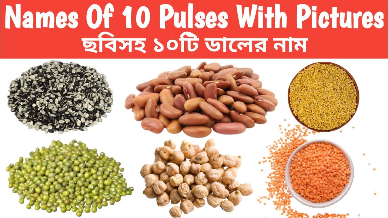 জেনে নিন ডাল কত প্রকার ও কি কি | Names Of 10 Pulses With Pictures ...