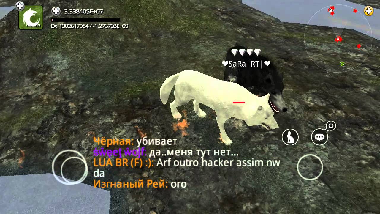 wolf online hacker in anywhere - YouTube