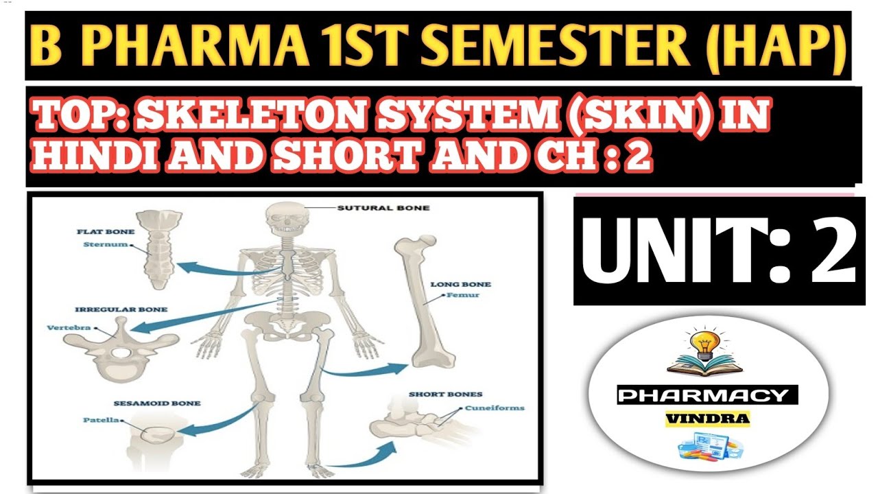 bone and types | skeletal system | hap | b pharmacy | unit 2nd | ch 2 - YouTube