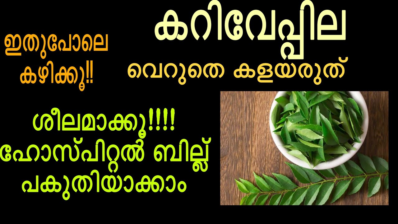 Kariveppila | കറിവേപ്പിലയുടെ അത്ഭുതഗുണങ്ങൾ| Health Benefits Of Curry ...