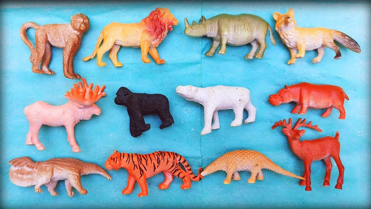 Animal Wala Video Cat, जिराफ़, Leopard, Zebra, Egret, शेर, बाघ, हाथी ...