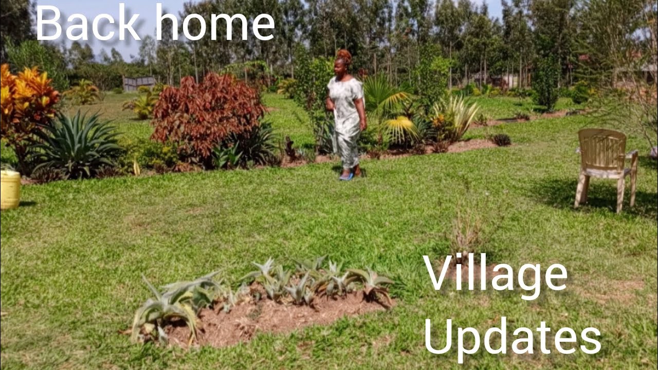 "Transforming My Village Yard | New Plants + Fresh Vibes” - YouTube
