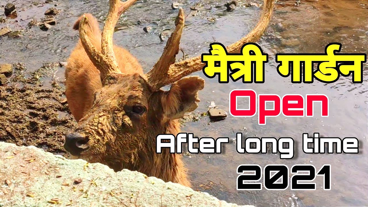 Maitri garden/maitri garden bhilai Ka/maitri bagh zoo bhilai 2021 ...