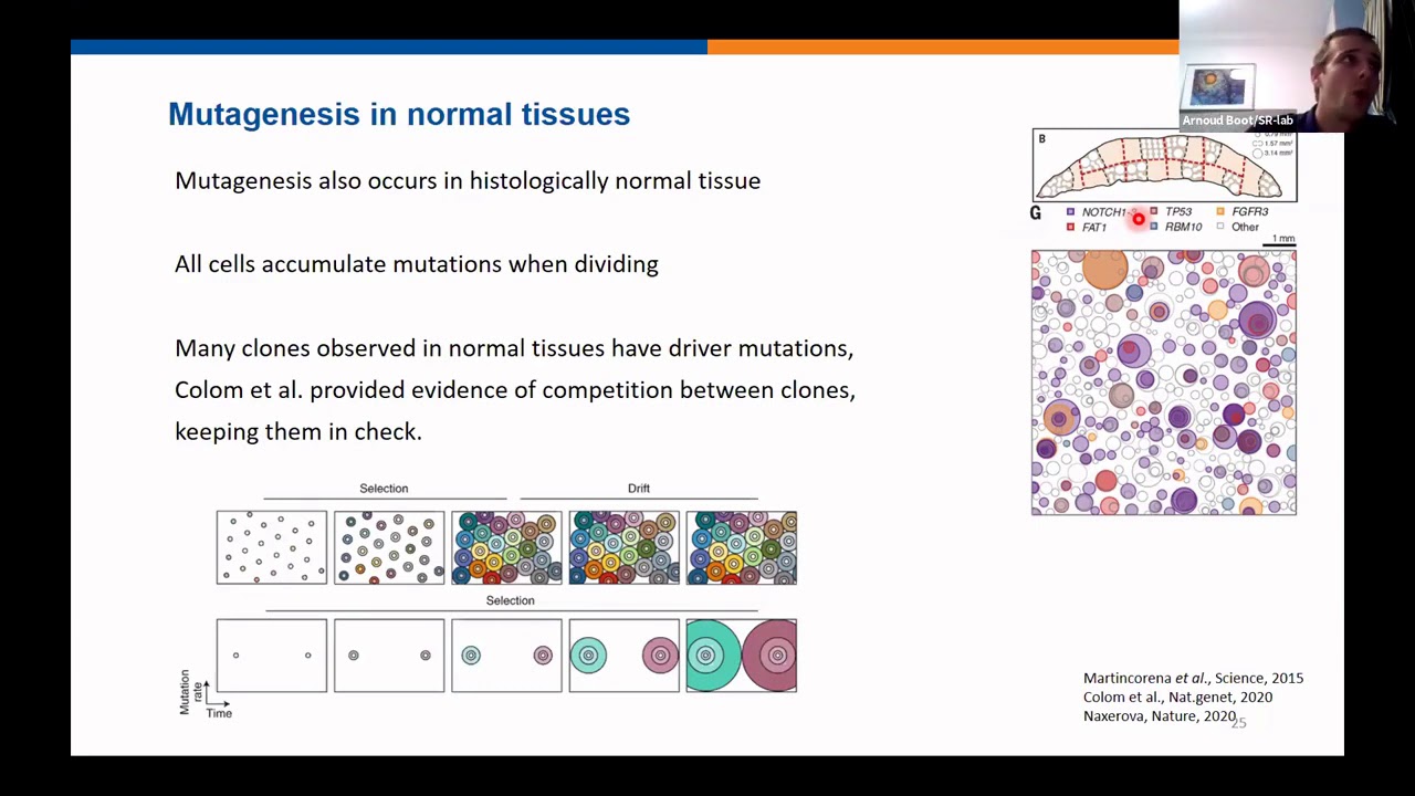 TT01-I - Mutational signatures and experimental elucidation... - Arnoud Boot - Tutorials - ISMB ...