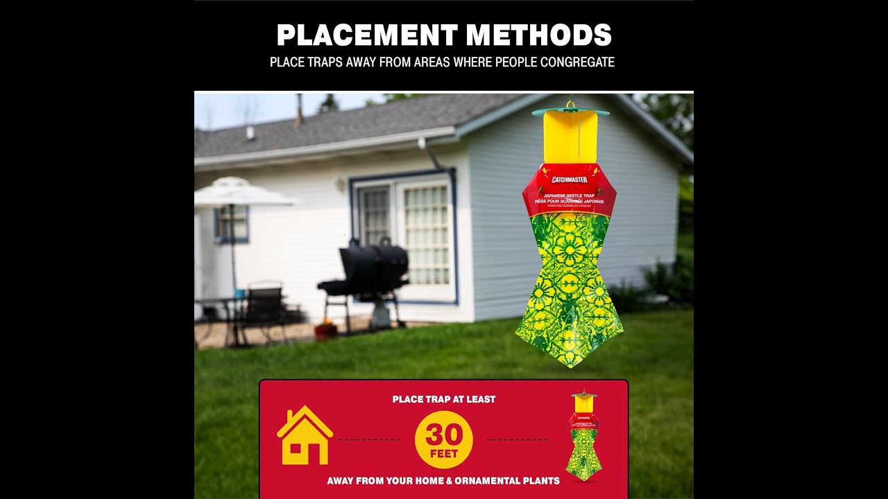 Catchmaster Japanese Beetle Traps Outdoor Flying Insect Trap Bag with ...