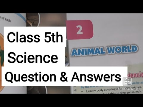 Class 5 th // CBSE //Science // 2.Animal World // Question & Answers ...