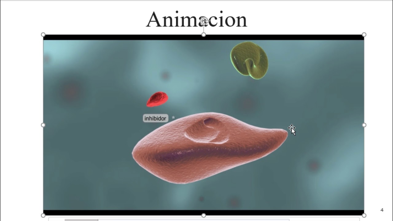 Inhibidór Competitivo - YouTube