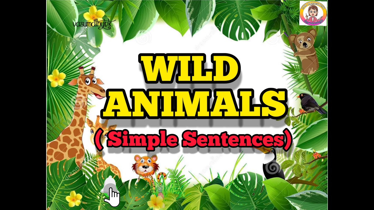 Wild Animals Simple Sentences YouTube wild-animals-simple-sentences-youtube