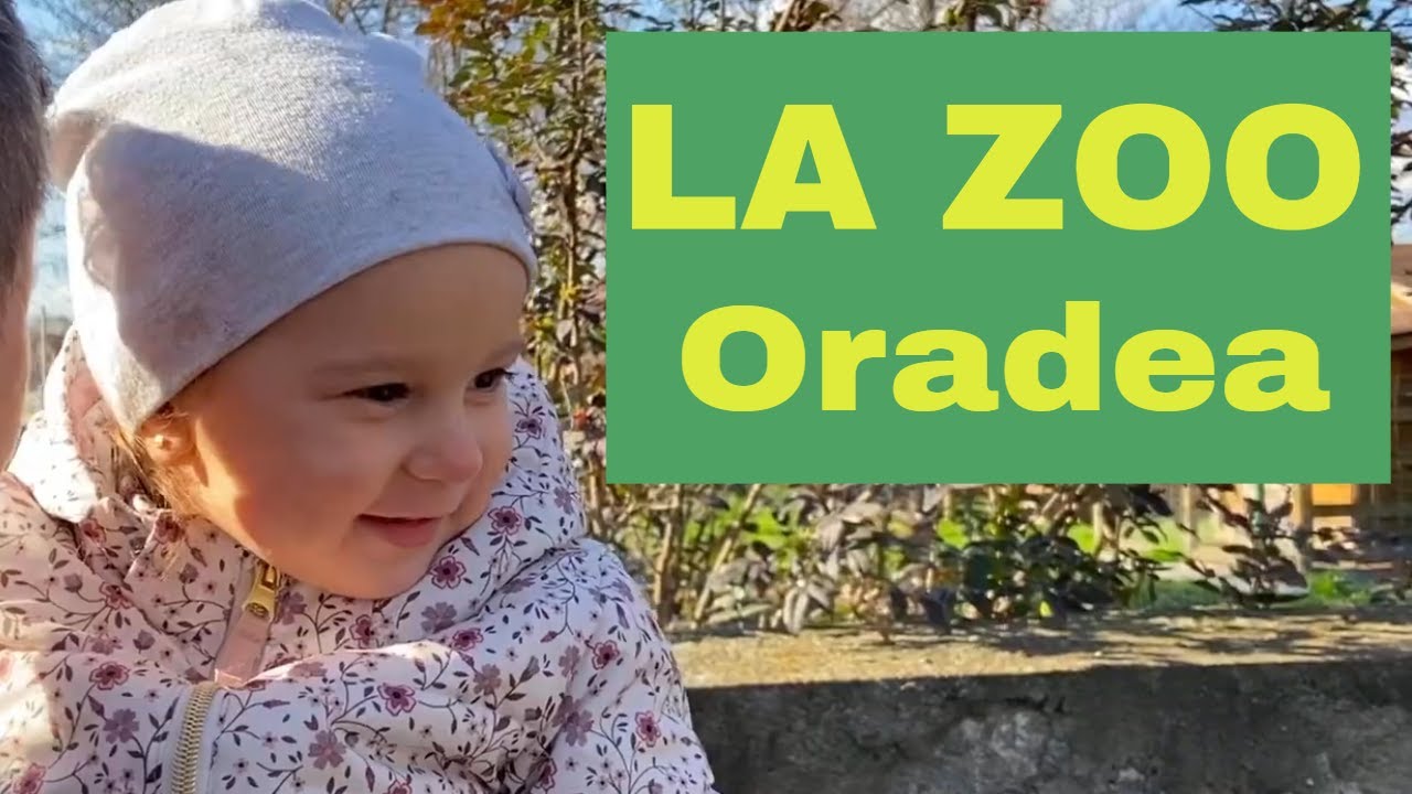 Cum arata Gradina Zoologica din Oradea? - YouTube