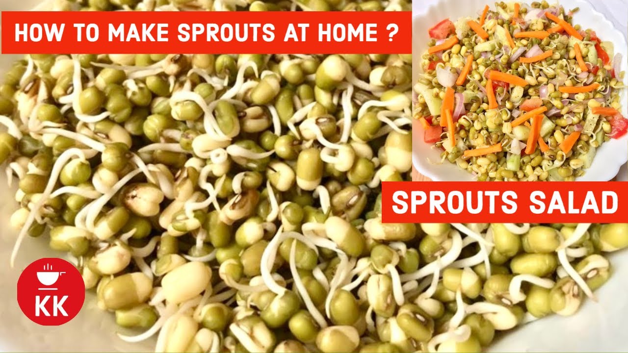 How to Make Sprouts at Home | Sprouts Salads | Perfect Sprouts Salads ...