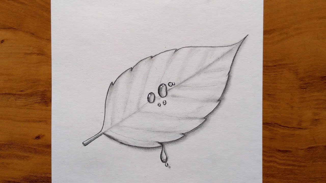 How to draw water drop 💧 on leaf 🌿 easy pencil drawing - YouTube