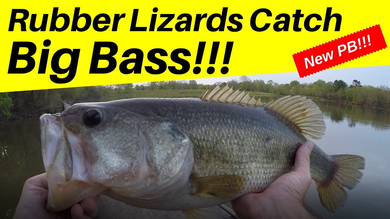 Rubber Lizards Catch Big Bass!!! - YouTube