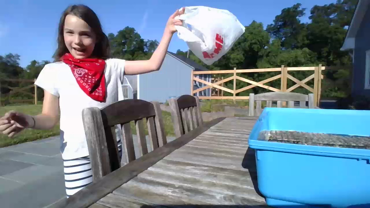 #1 of brooder cleaning tutorial! - YouTube