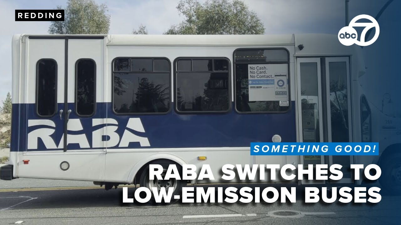 RABA's switch to hybrid buses aims to improve air quality with $2 6M ...