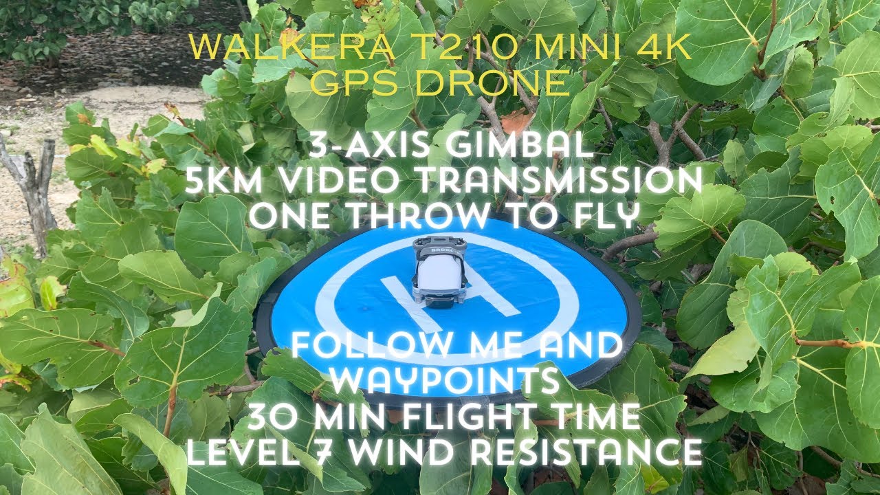 Walkera T210 mini is the most underrated GPS 4K mini drone on the ...