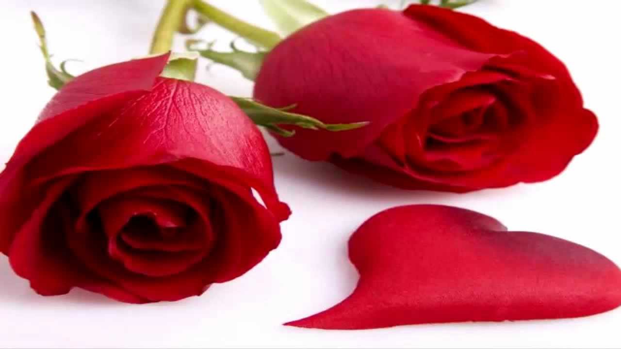 Gabay Aroos By Ustaad Luqmaan - YouTube