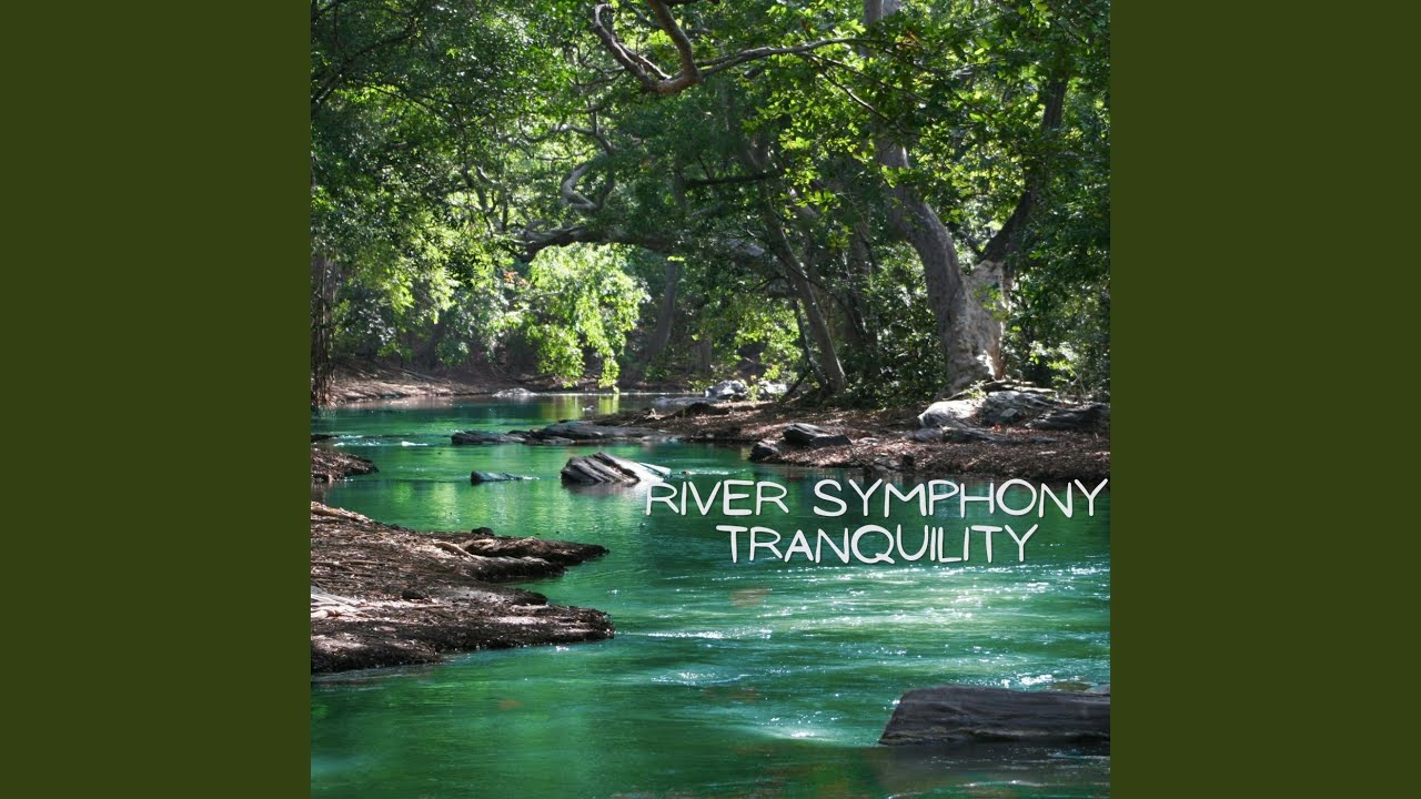Whispering Willow Waterside: Tranquil River Symphony - YouTube