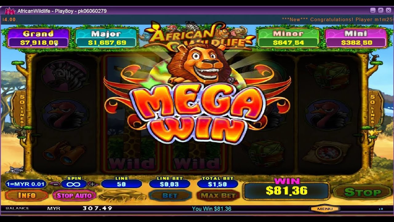 AFRICAN WILD LIFE SLOT !!! MEGA BIG WIN 2016 - YouTube