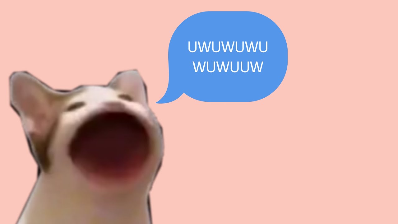 I edited the uwu girl ️ //audio by erzieswww// - YouTube