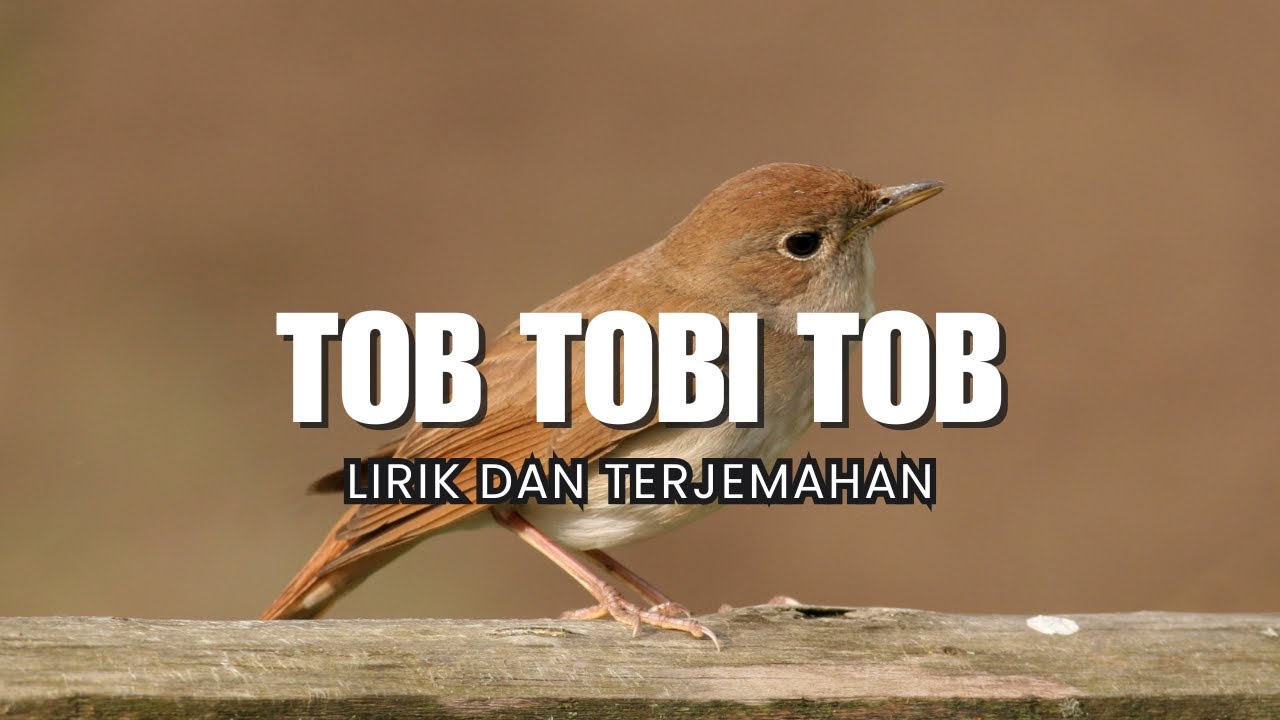 Tob Tobi Tob - Lirik dan Terjemahan Tob Tobi Tob - YouTube Music
