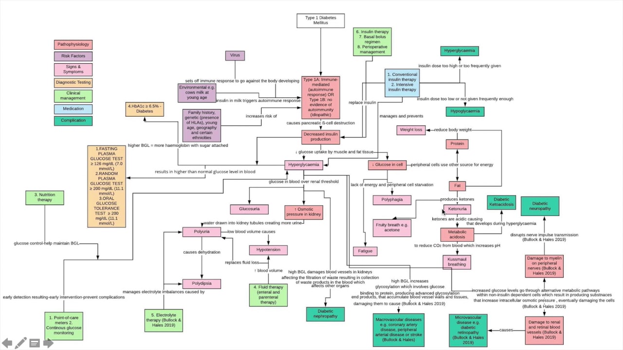 MSN CONCEPT MAP - YouTube
