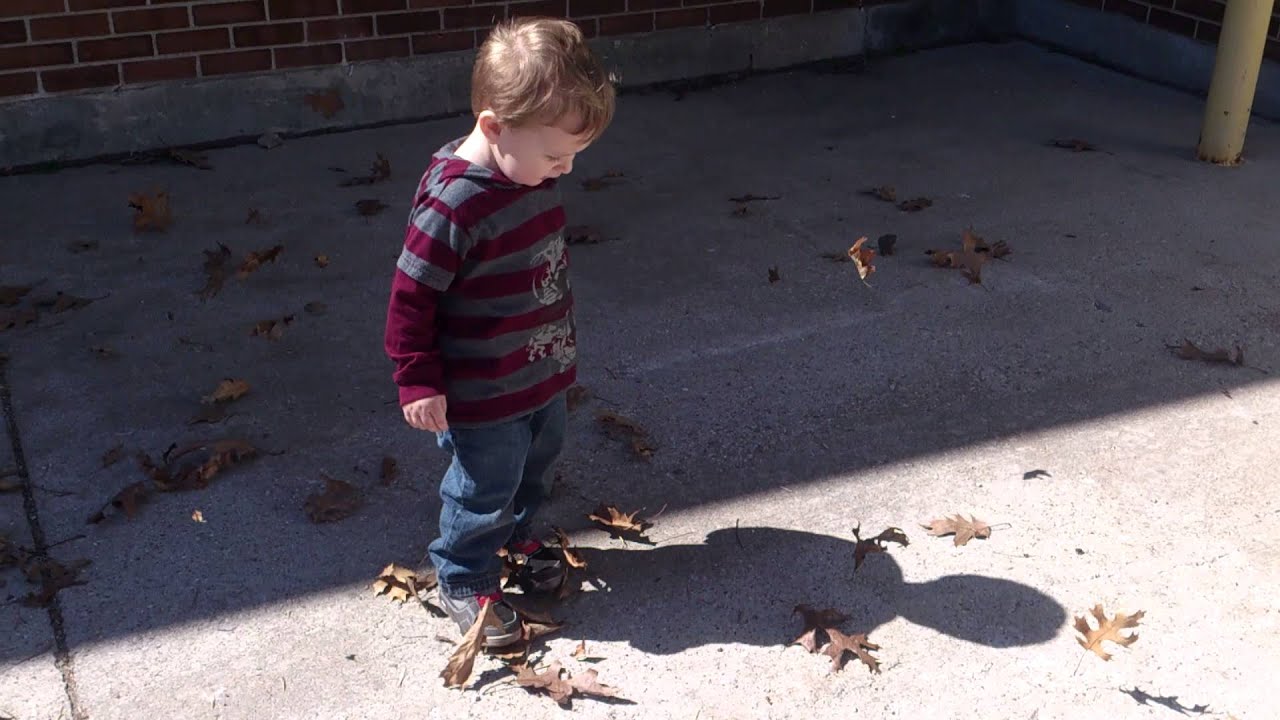 Leaf tornado part two - YouTube