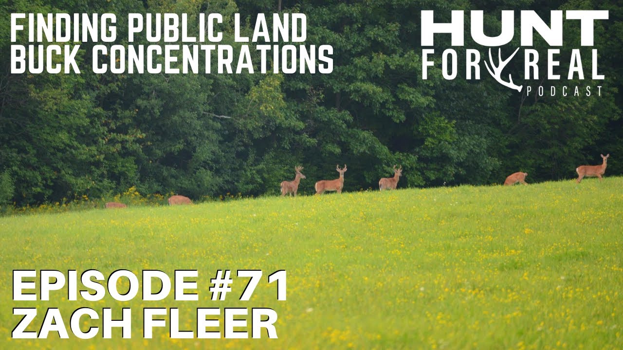 Podcast Short Episode 71: Zach Fleer- Finding and Hunting Buck ...