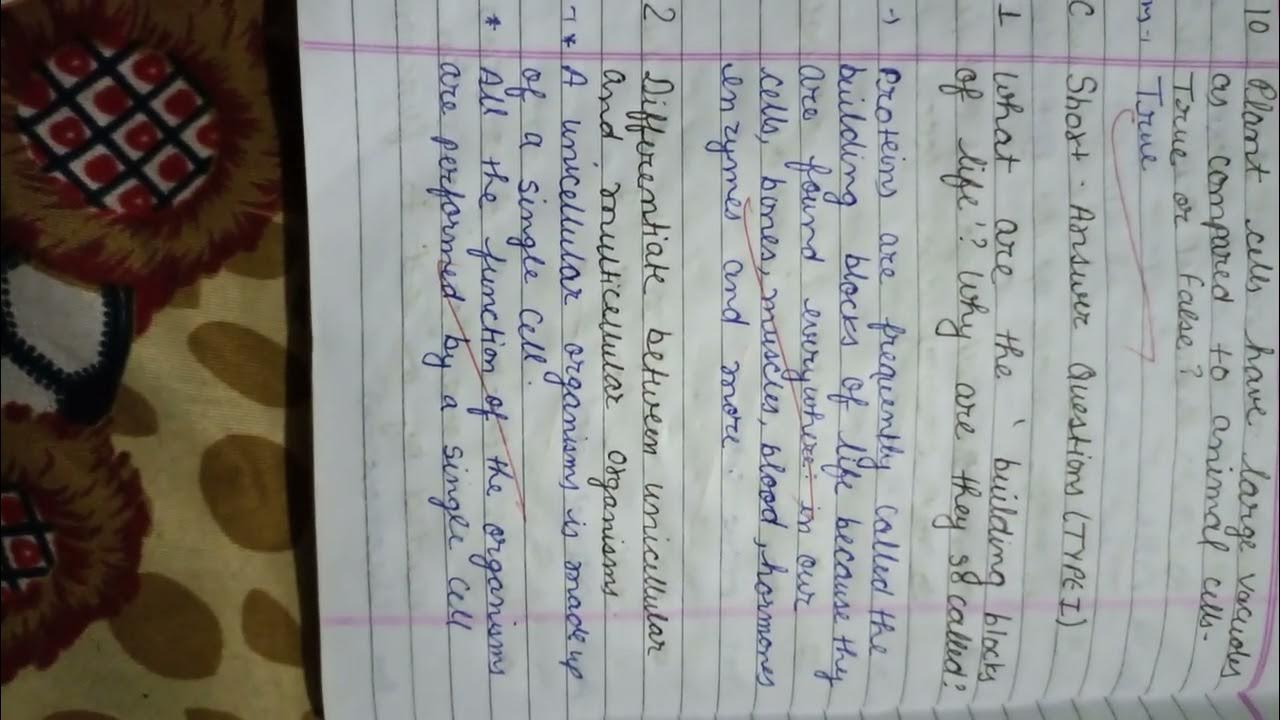 Cell Structure And Functions Short Type 1 Answer Ratna Sagar Living cell-structure-and-functions-short-type-1-answer-ratna-sagar-living
