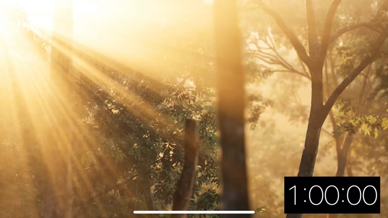 1 Hour Timer - Beautiful Nature (Relaxing Music) - YouTube