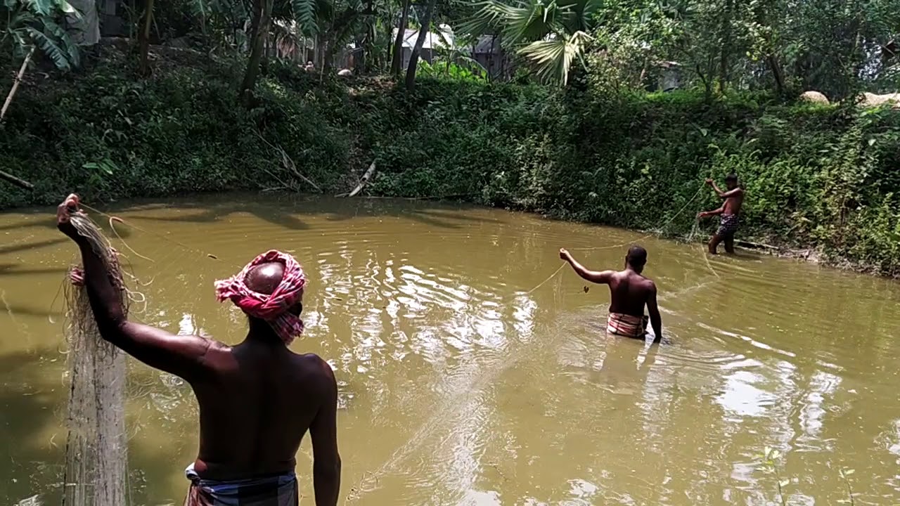 Best Fish Hunting Video | Fishing with Current Jal in Village Pond ...
