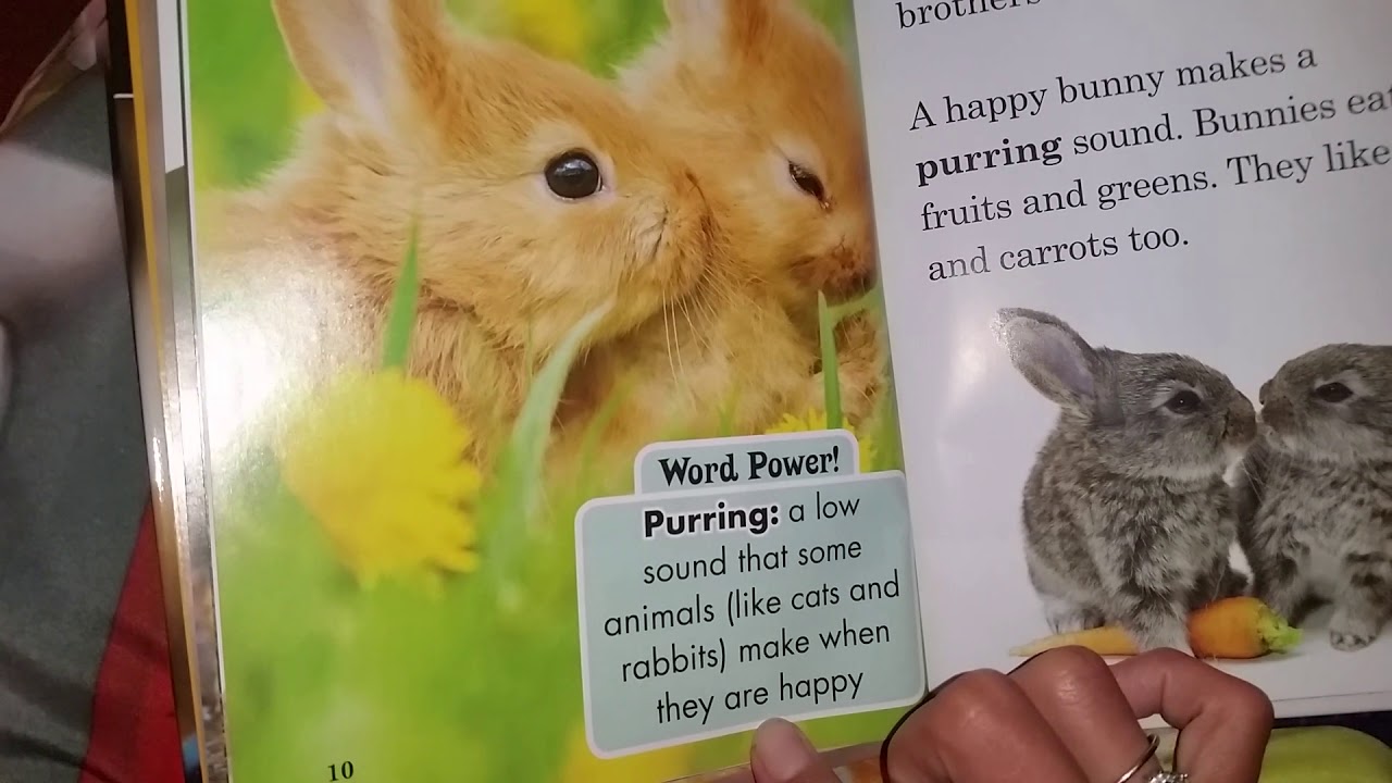 Baby Animals - Learning to read level 1 Beginning Readers (Guided ...