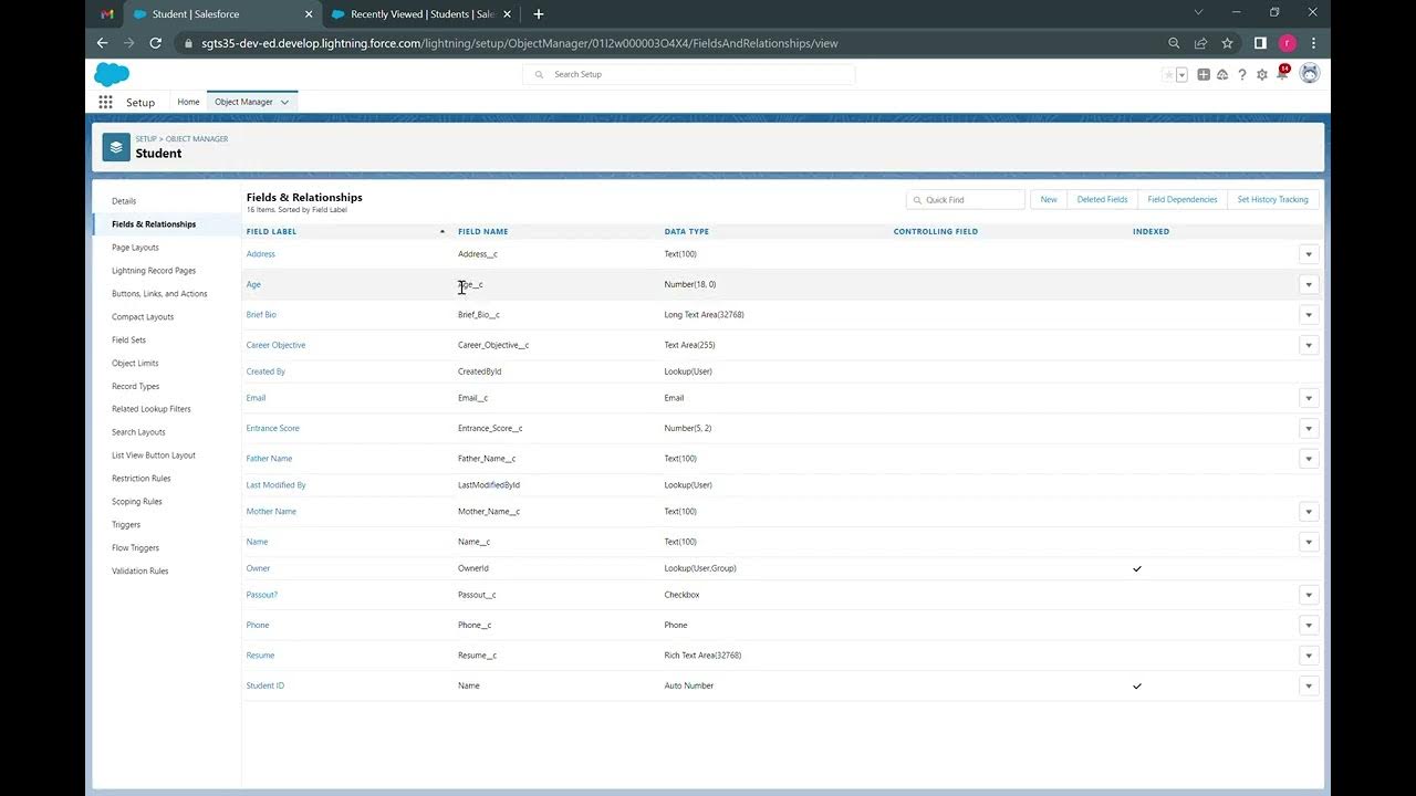 How to create a field with checkbox data type in Salesforce - YouTube