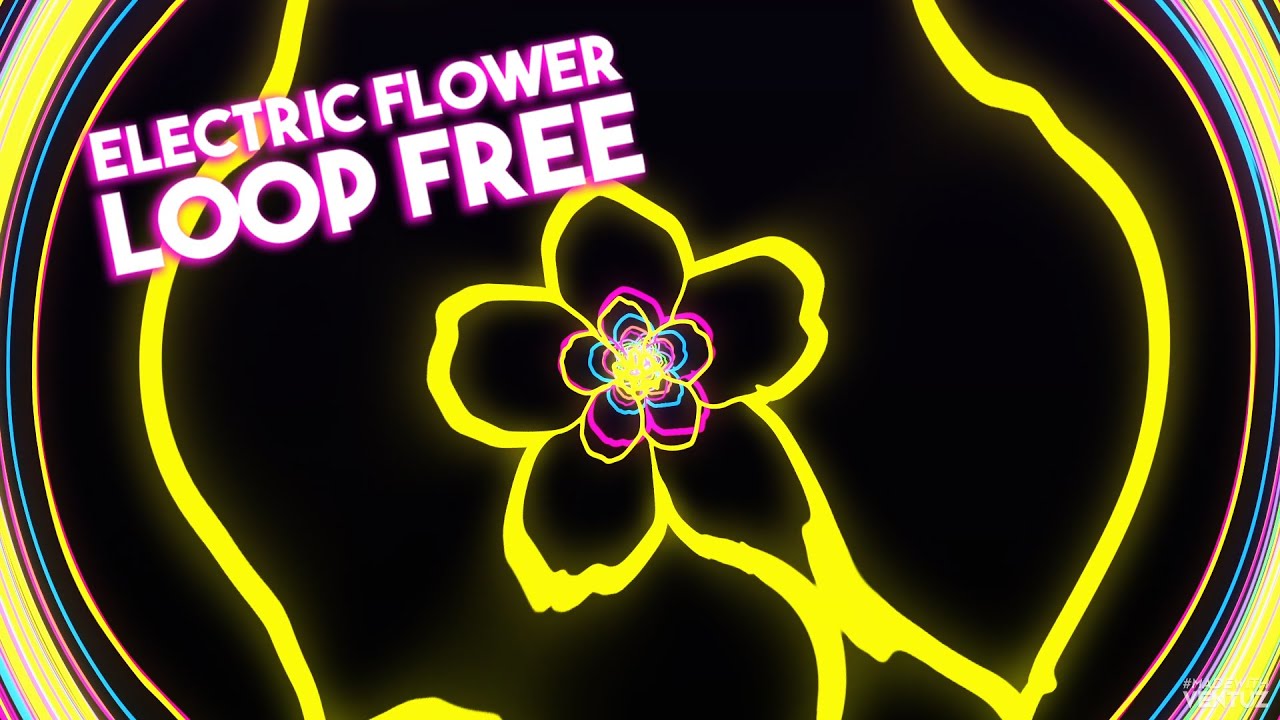 Electric flower Abstract Loop - looping background - free loop - YouTube