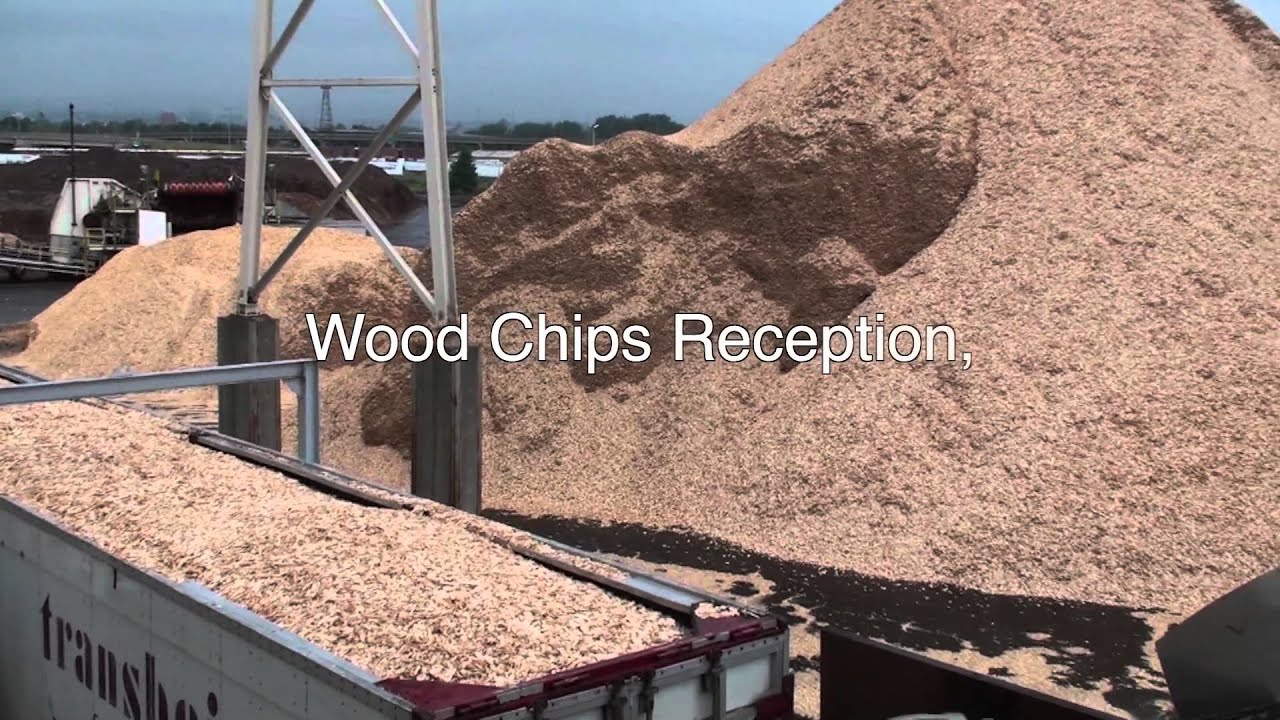 CMS - Chip Management System - YouTube