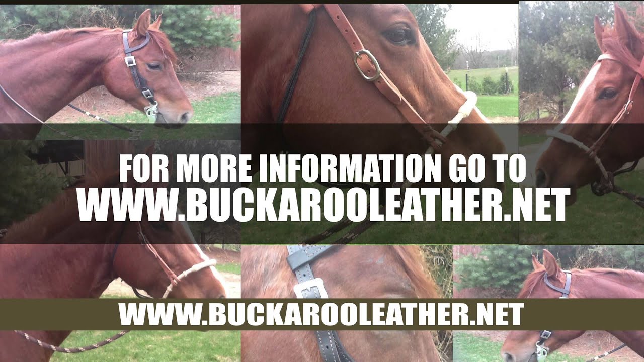 Steve Lantvit Horsemanship Buckaroo Leather Commercial - YouTube