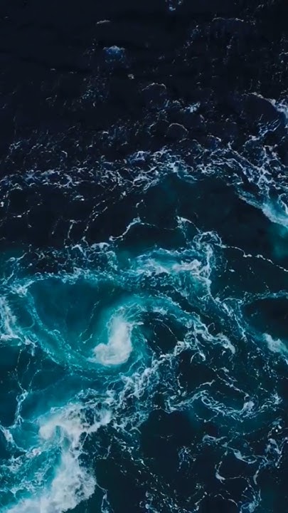 Dive into the oceans wonders! #facts #ocean #sea #foryou - YouTube