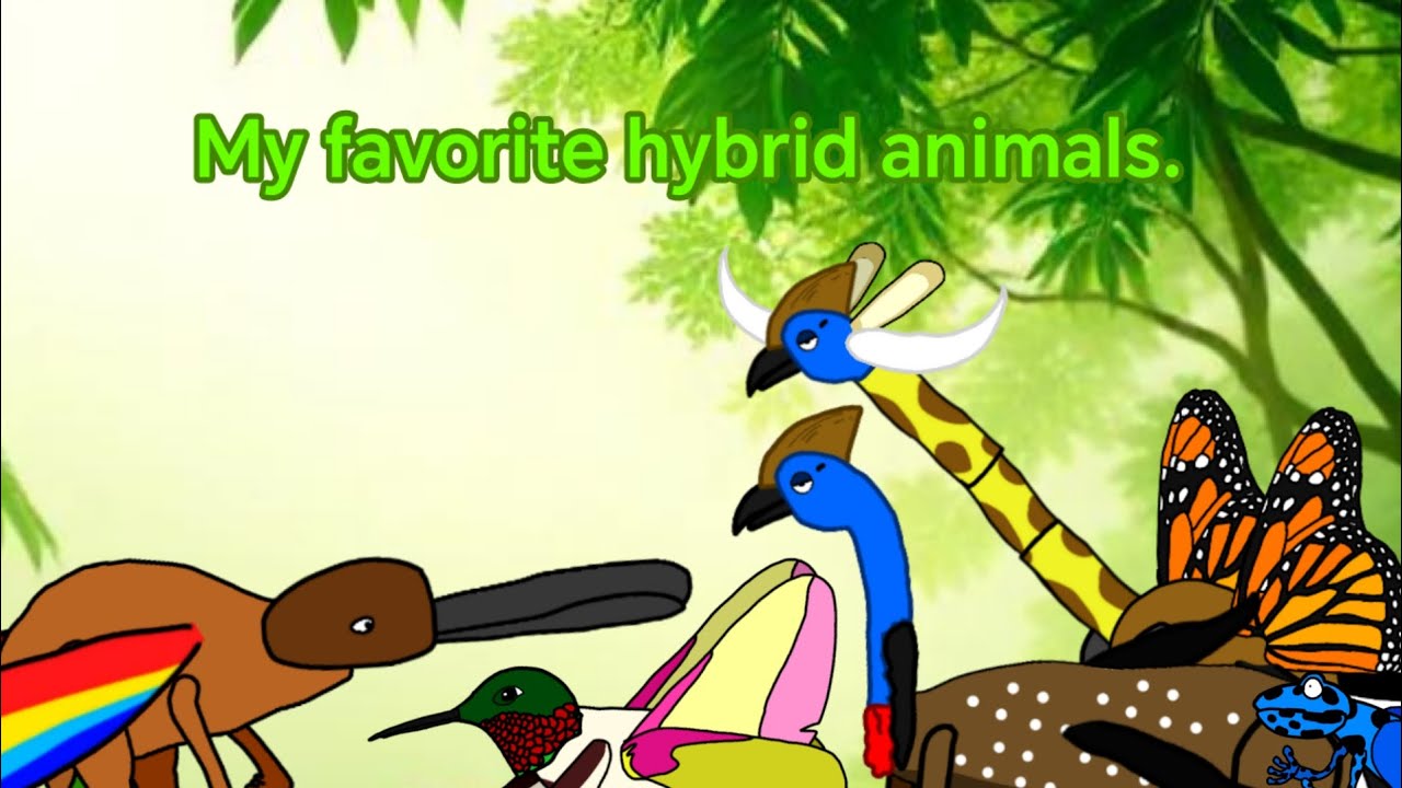 My favorite hybrid animals. - YouTube