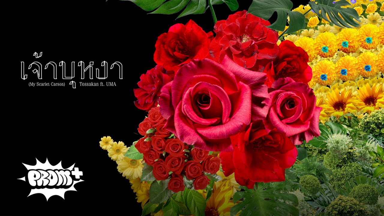 Scarlet Carson Flower | Best Flower Site